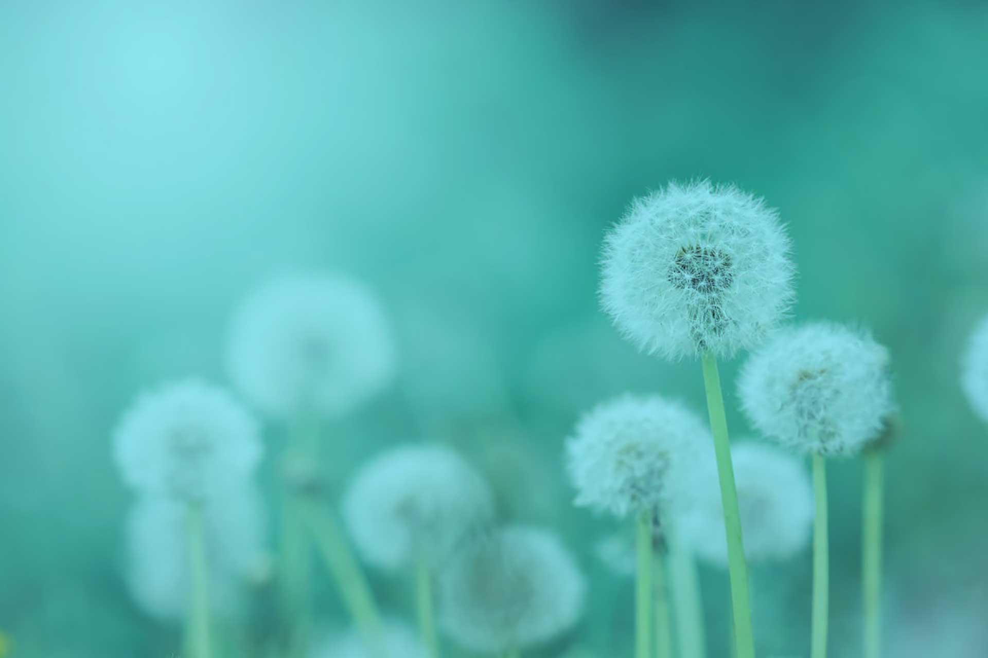 Jan Howe – Integrative Counsellor in South West London